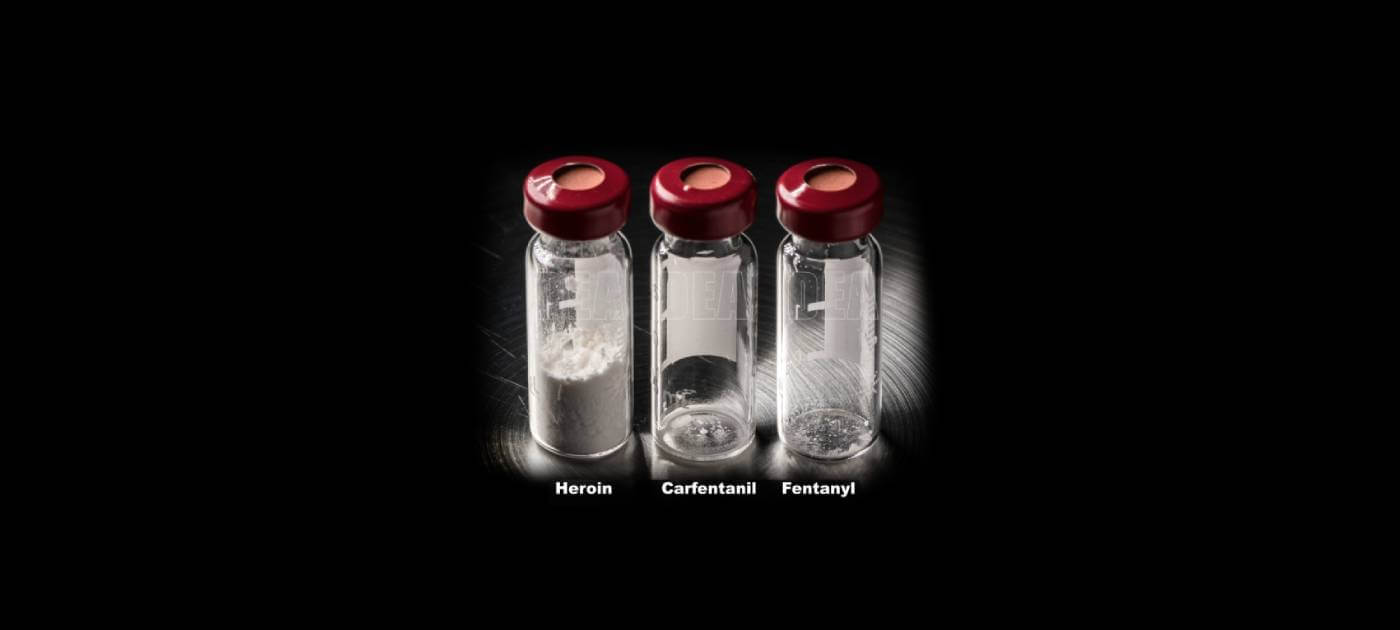 What Is Carfentanil? A Lethal Opioid Sold as Heroin | Bicycle Health