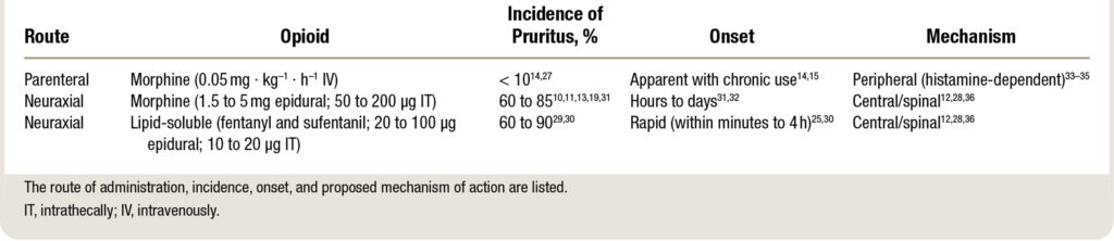 Opioids & Itching: What Causes the Itch & How to Treat It