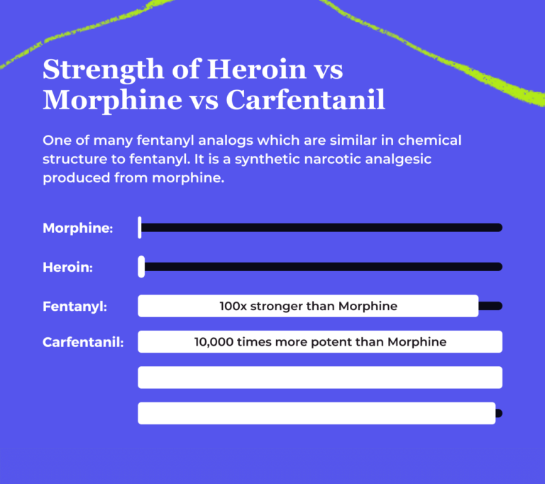 What Is Carfentanil? A Lethal Opioid Sold as Heroin | Bicycle Health